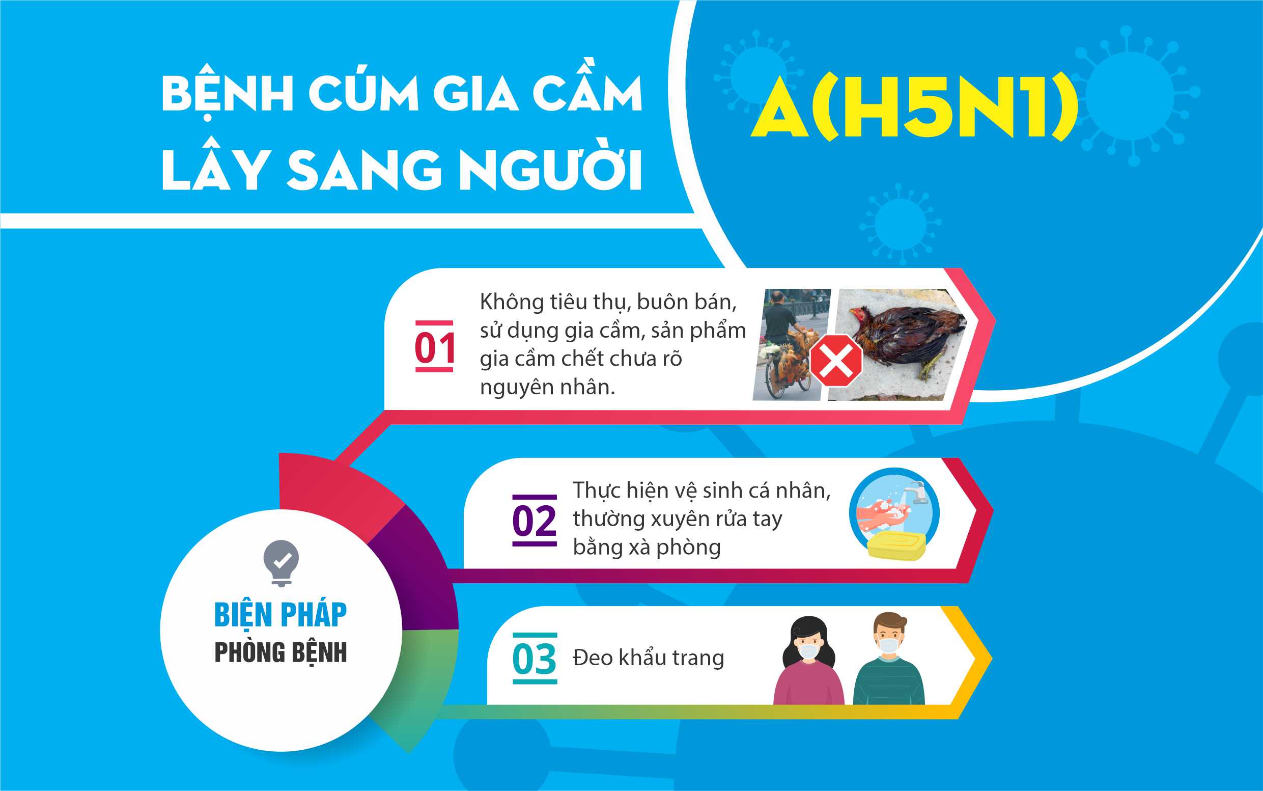 Không chủ quan với cúm gia cầm A(H5N1) – CDC An Giang